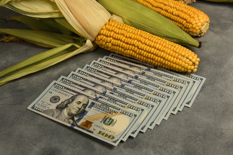 Corn Seed Trade, Agricultural Business Stock Image - Image of dolar ...