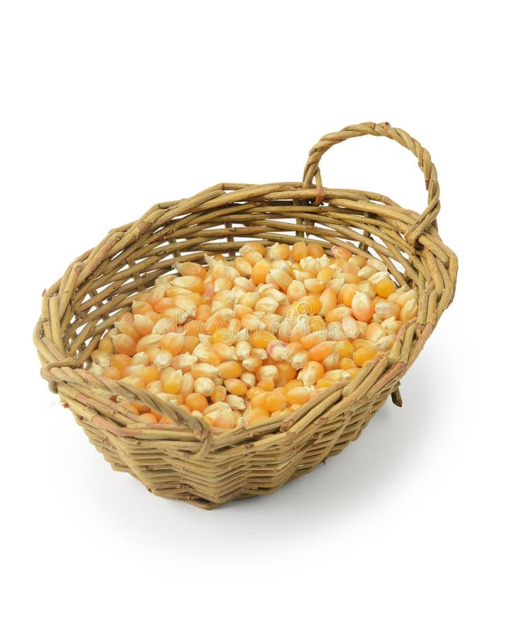 Corn seeds in basket stock photo. Image of grain, group - 43314720