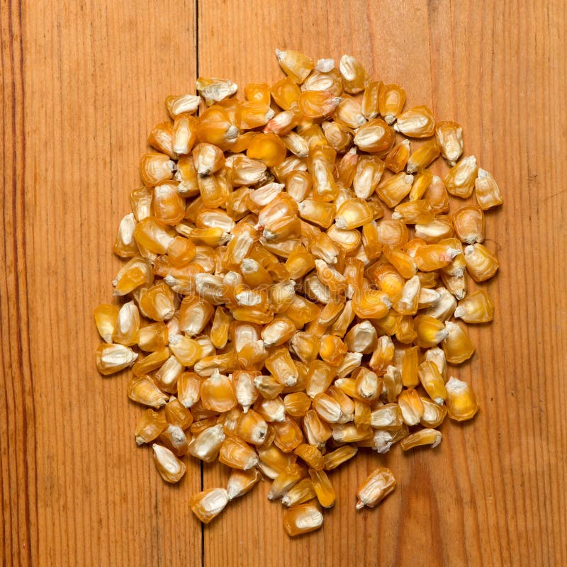 Corn Seeds Close-up. Sweet Corn Grains Stock Image - Image of health ...