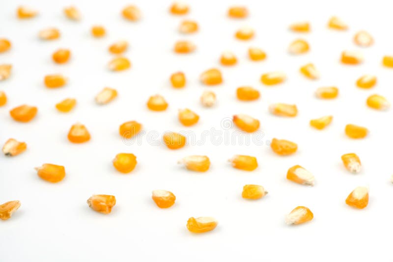 Corn Seeds Close-up. Sweet Corn Grains Stock Image - Image of dieting ...
