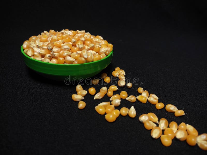 Corn seeds ready to pop up stock photo. Image of seeds - 330161000