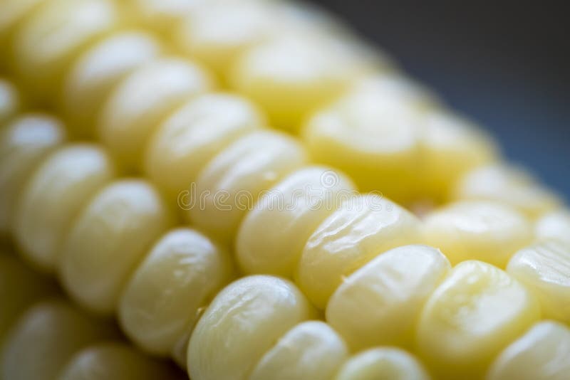 Corn seeds texture stock image. Image of closeup, cereal - 68505899