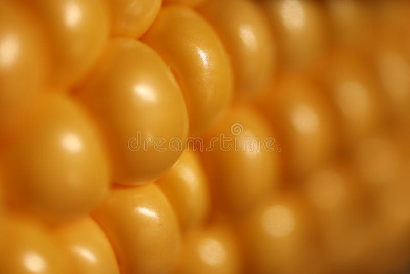 Corn Seeds Texture Macro Closeup Stock Photo - Image of texture ...