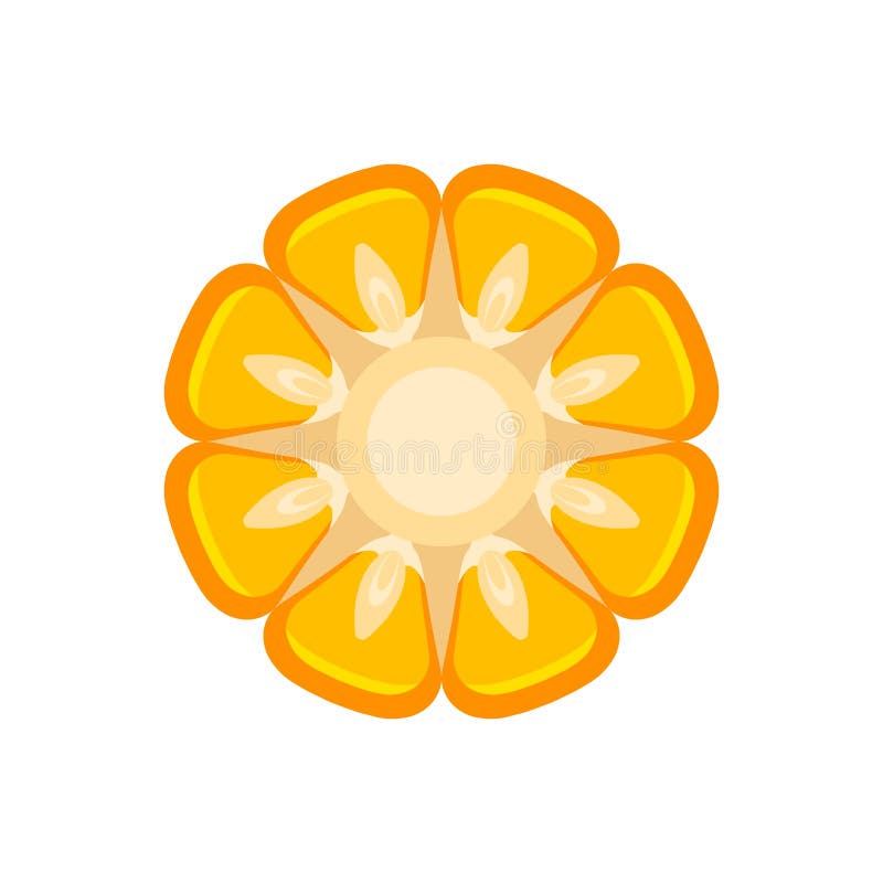 Corn Seeds Vector Cartoon Flat Illustration Isolated on White ...