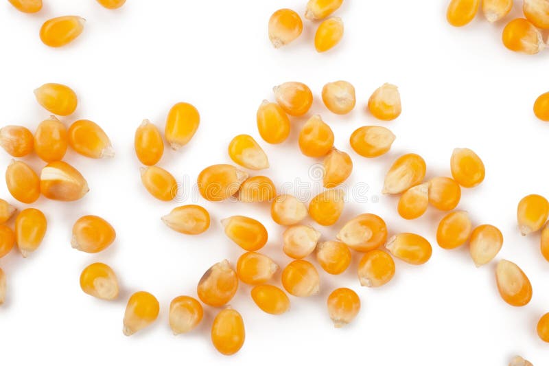 Corn seeds stock photo. Image of cooked, macro, merchandise - 81668202