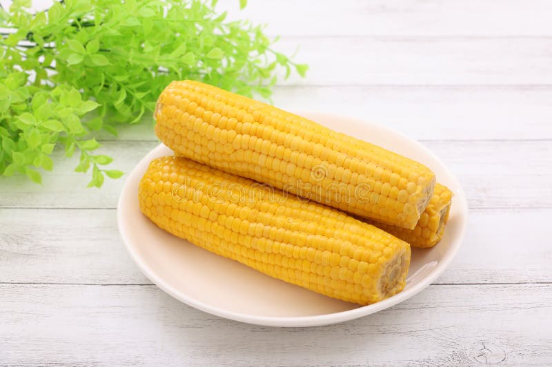 Corn Served on a White Plate Stock Image - Image of closeup, golden ...