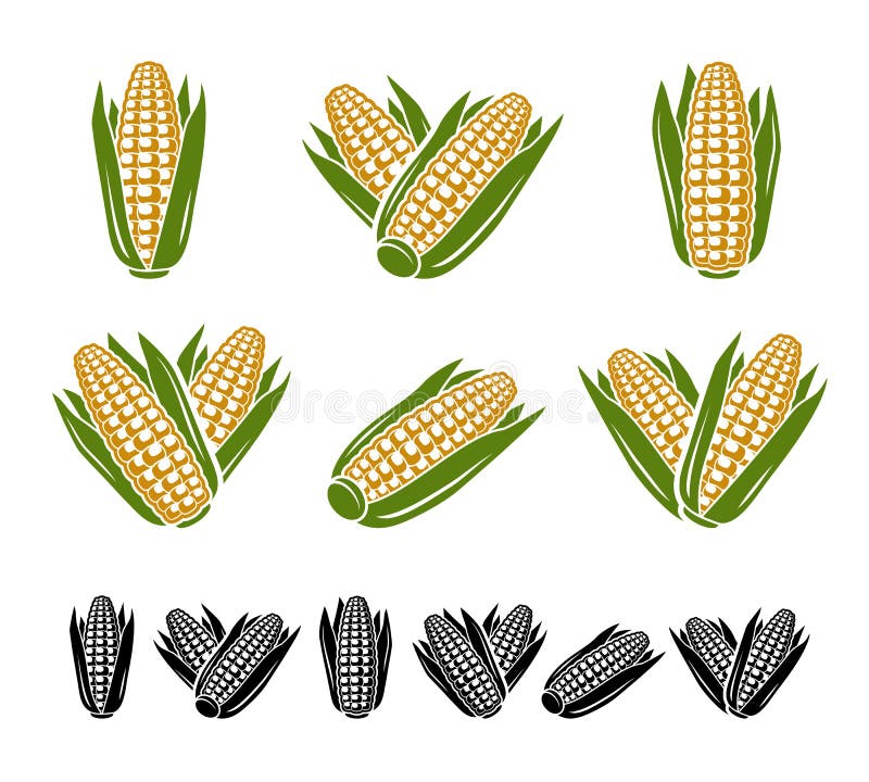 Corn Set. Collection Icon Corn Stock Vector - Illustration of meal ...