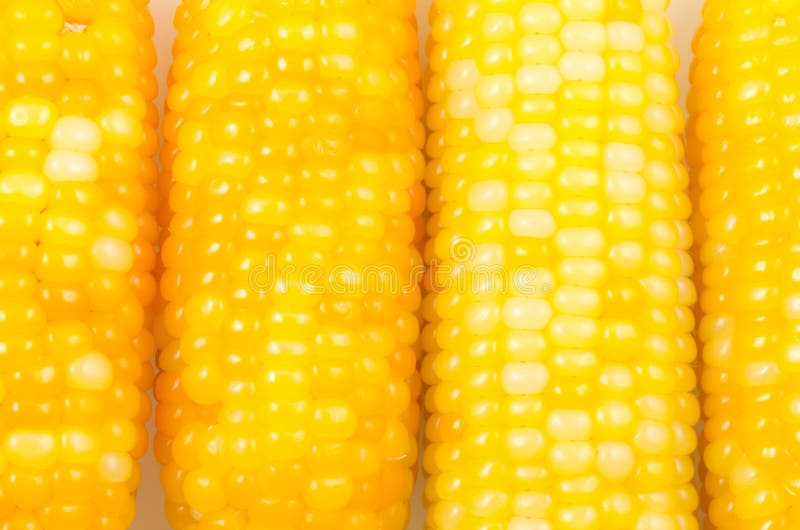 Corn side by side stock image. Image of ingredient, grain - 27153553