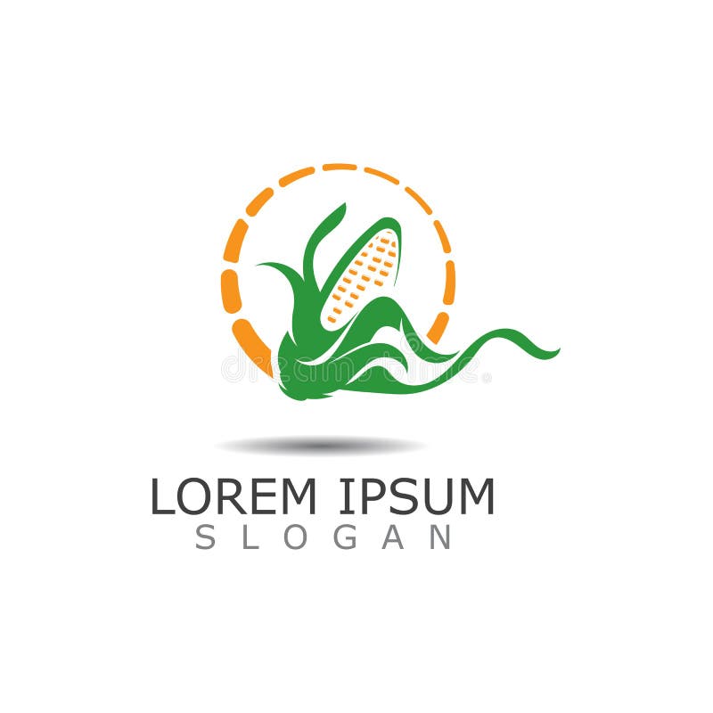 Corn Simple Logo Design Agriculture Farming Vector Stock Illustration ...