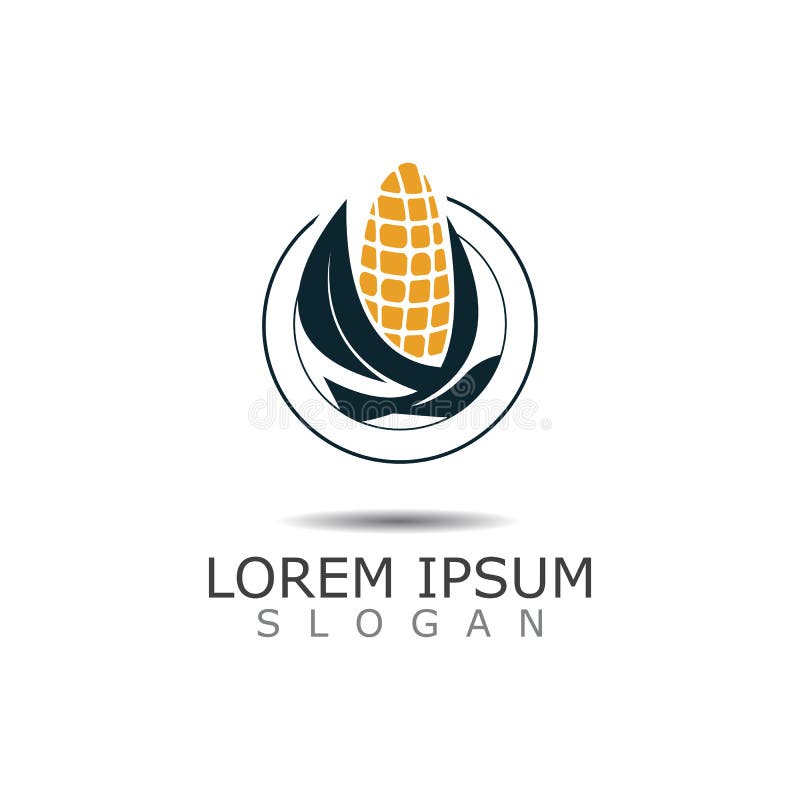 Corn Simple Logo Design Agriculture Farming Vector Stock Illustration ...