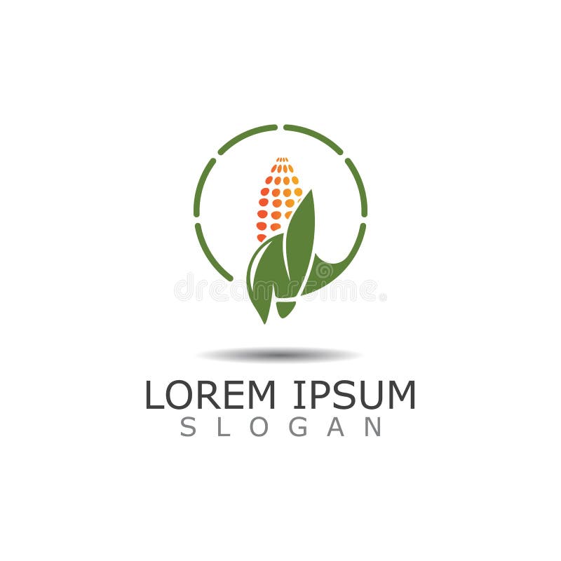 Corn Simple Logo Design Agriculture Farming Vector Stock Illustration ...