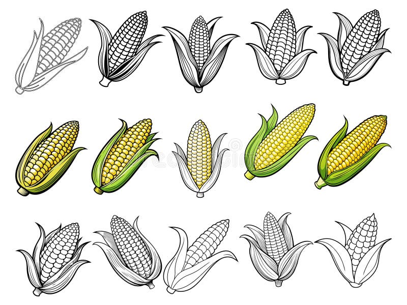 15 Corn Simple Outline Black and Orange Color Icon Set. Vector Art ...
