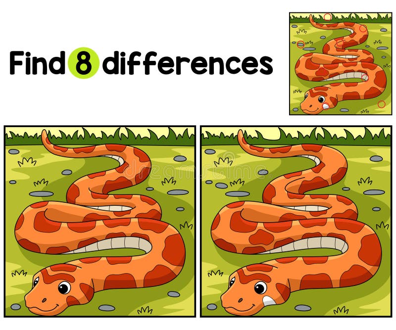 Corn Snake Animal Find the Differences Stock Vector - Illustration of ...