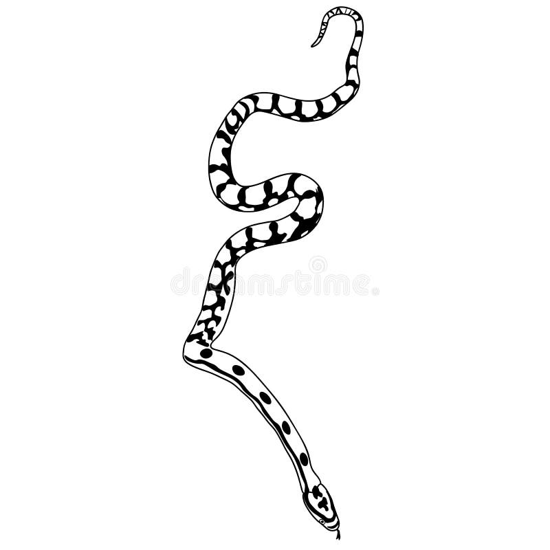 Illustrated Snake Stock Illustrations – 425 Illustrated Snake Stock ...