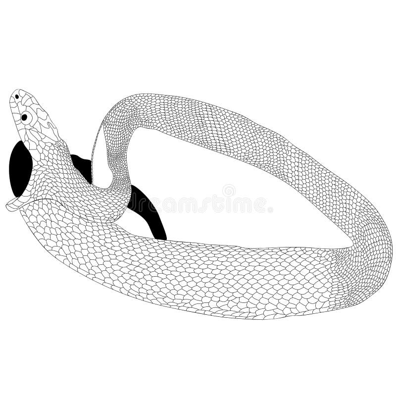Long Snake Drawing Line Stock Illustrations – 114 Long Snake Drawing ...