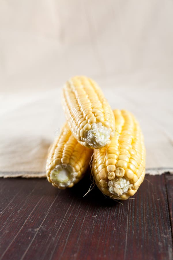 Corn stock photo. Image of maize, crop, farm, corn, ingredient - 38679456