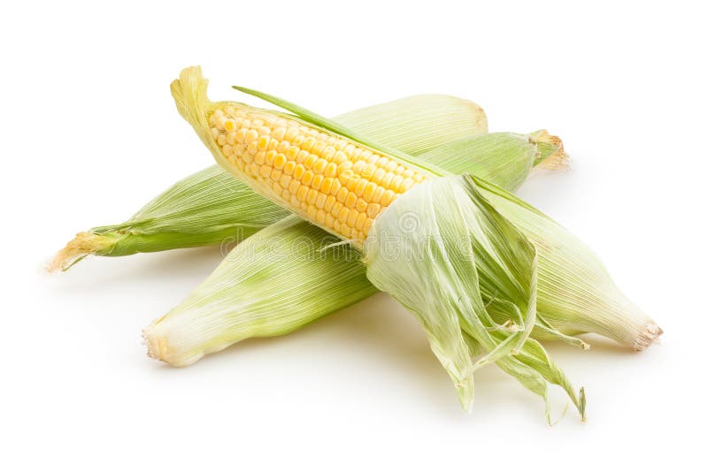 Stack of sweetcorn kernels stock image. Image of corn - 17469363