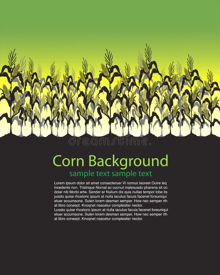 Corn Field Sunset Stock Illustrations – 7,980 Corn Field Sunset Stock ...