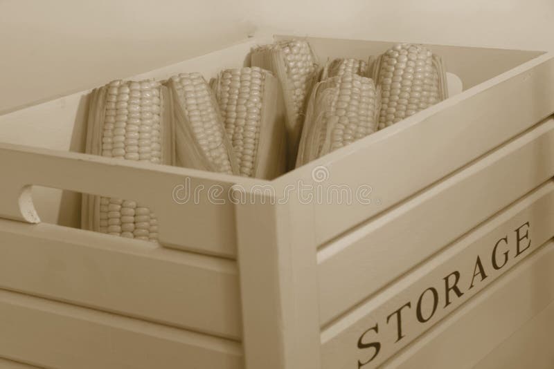 Corn in storage container stock photo. Image of storage - 5105086