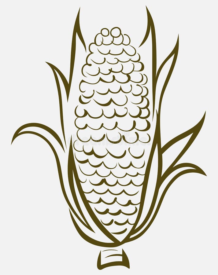 Corn symbol stock vector. Illustration of nature, nutrition - 27139775