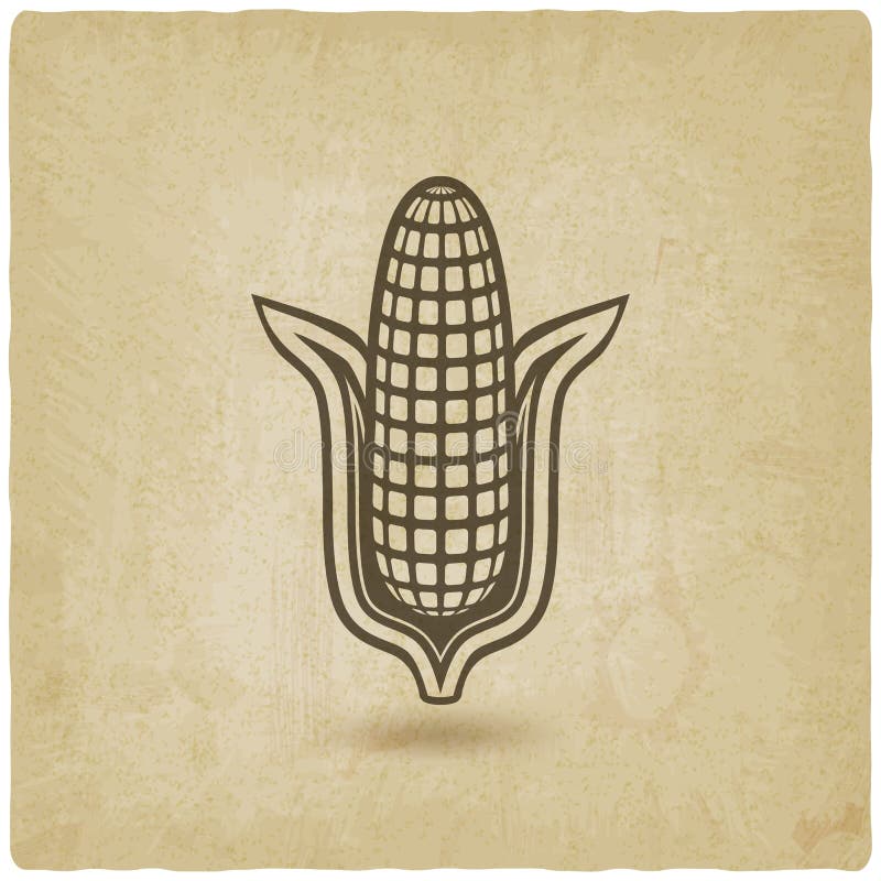 Corn symbol icon stock vector. Illustration of nutrition - 142442825