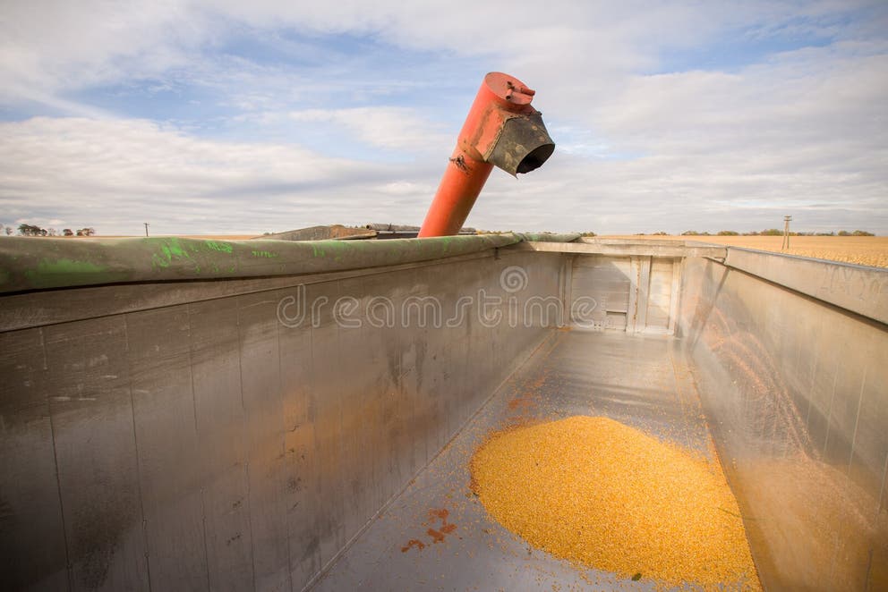 Corn tank stock photo. Image of agriculture, farming - 47566966