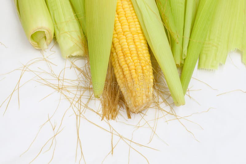 Corn with with Tender-green Shell. Stock Photo - Image of vegetarian ...