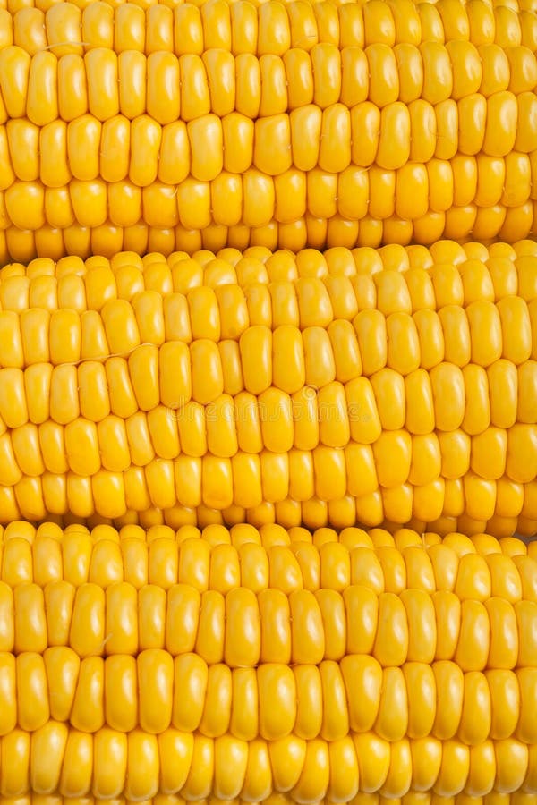 Corn texture stock image. Image of vegetables, kernels - 20188245