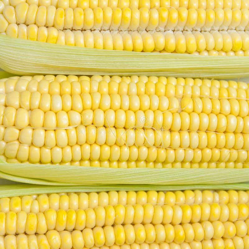 Corn texture stock image. Image of nutrition, ingredient - 26292177