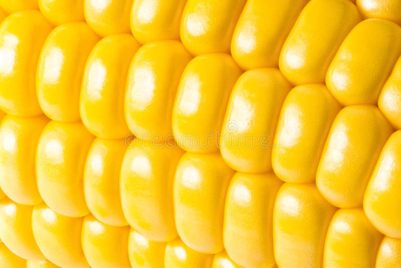 Corn Texture Background. Corn Grains Close Up Stock Photo - Image of ...