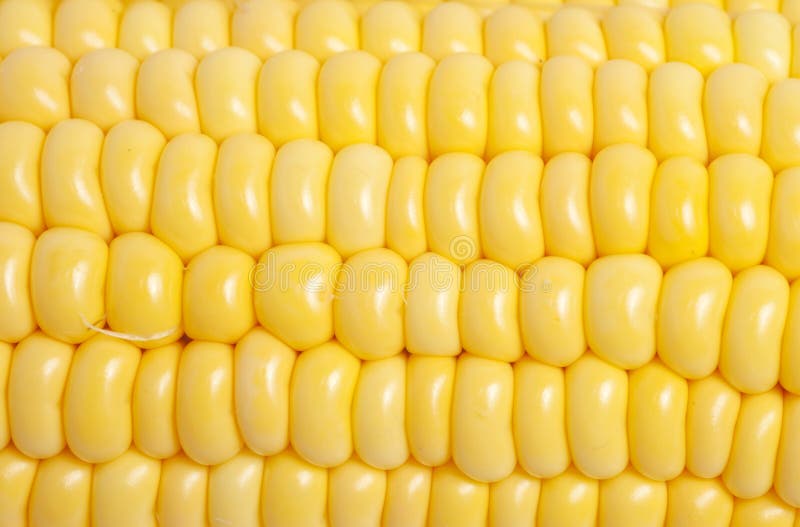 Corn texture closeup stock image. Image of sweetcorn - 17177369