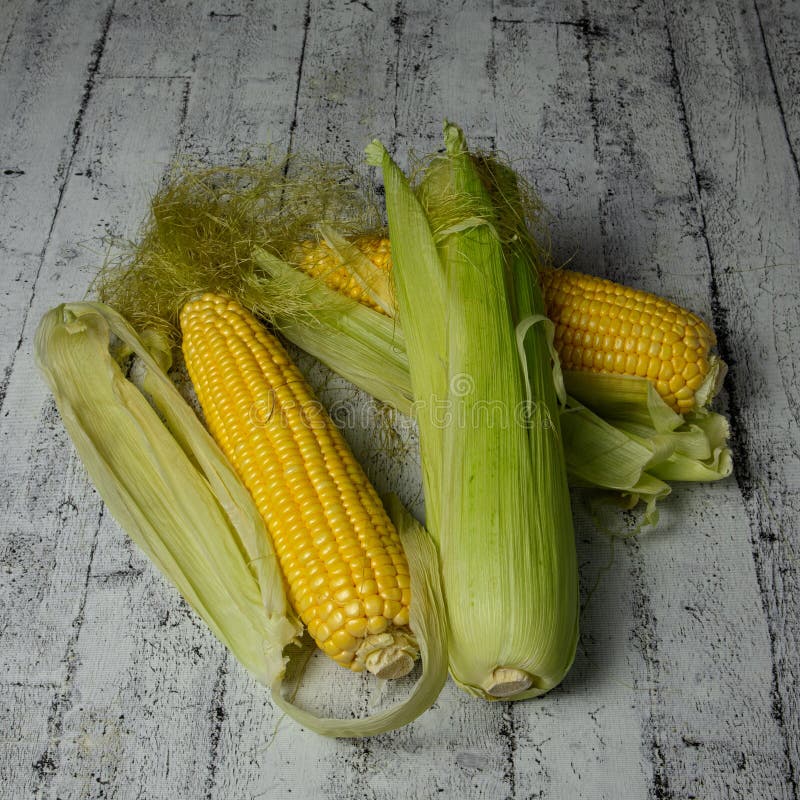 Corn stock image. Image of nutrition, ears, ripe, sweet - 255025987