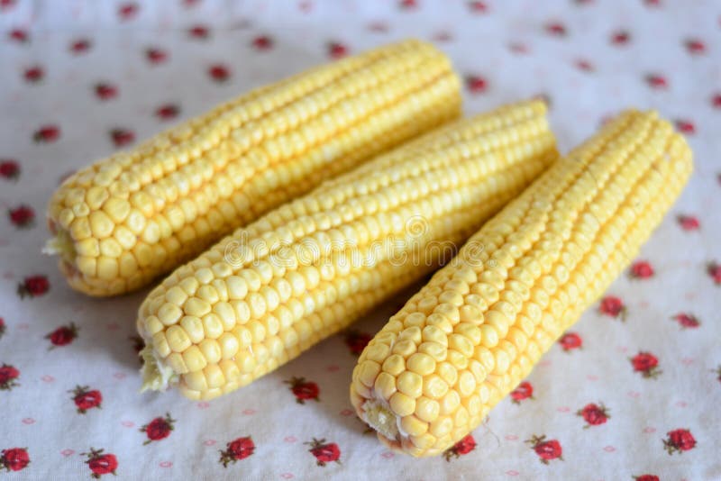 Corn stock photo. Image of fresh, food, three, pieces - 56819268