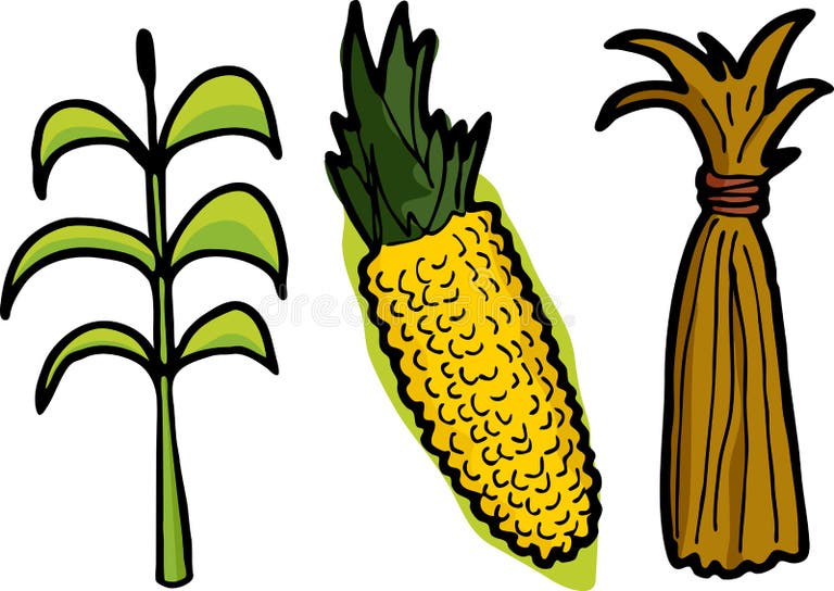 Cartoon Corn Stalk Stock Illustrations – 670 Cartoon Corn Stalk Stock ...