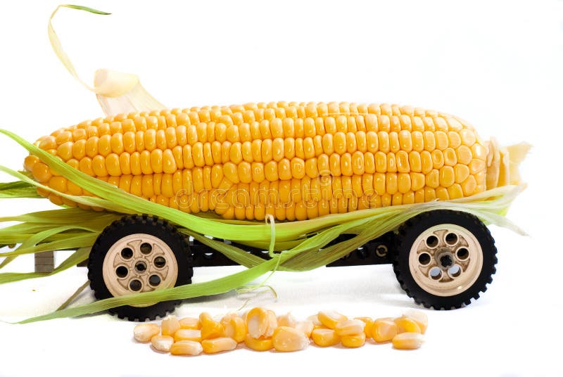 Corn Truck stock image. Image of maize, crop, husk, corn - 9850049