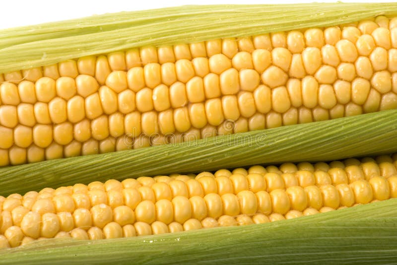 183 Two Corns White Background Stock Photos - Free & Royalty-Free Stock ...