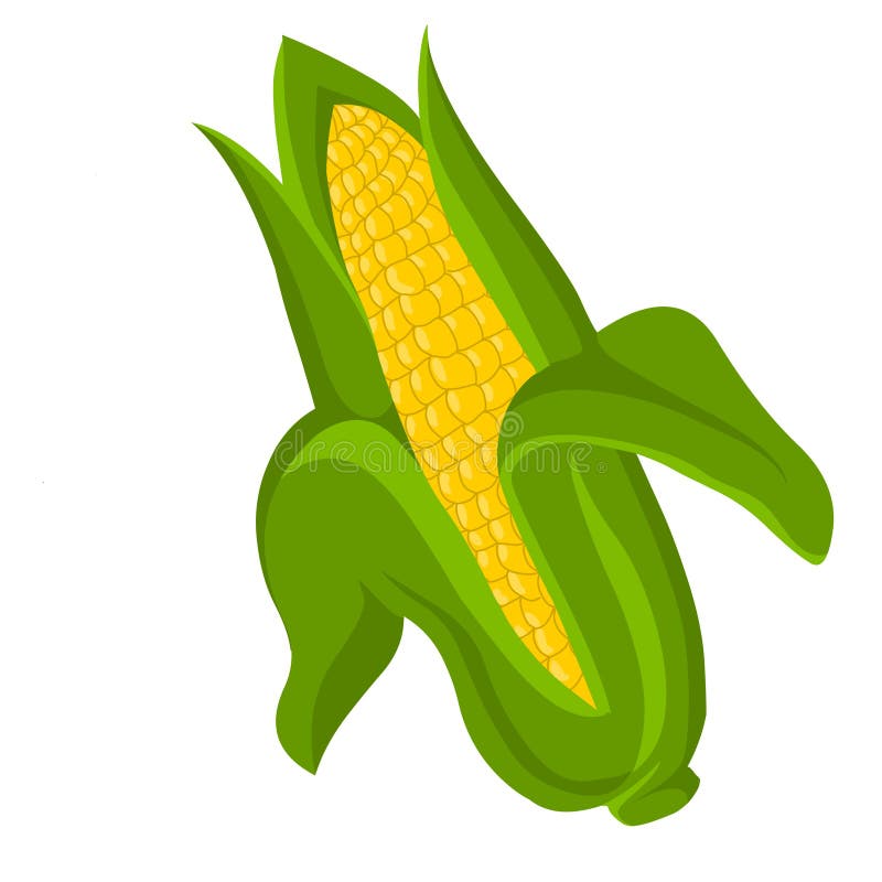 Corn Vector Stock Illustrations – 123,572 Corn Vector Stock ...