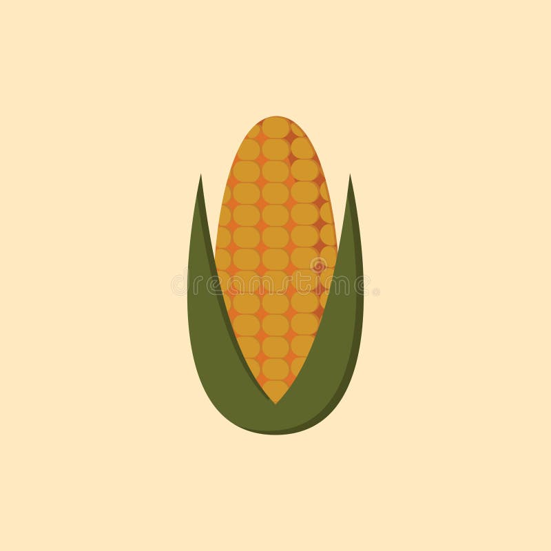 Corn. Vector Illustration Decorative Design Stock Vector - Illustration ...
