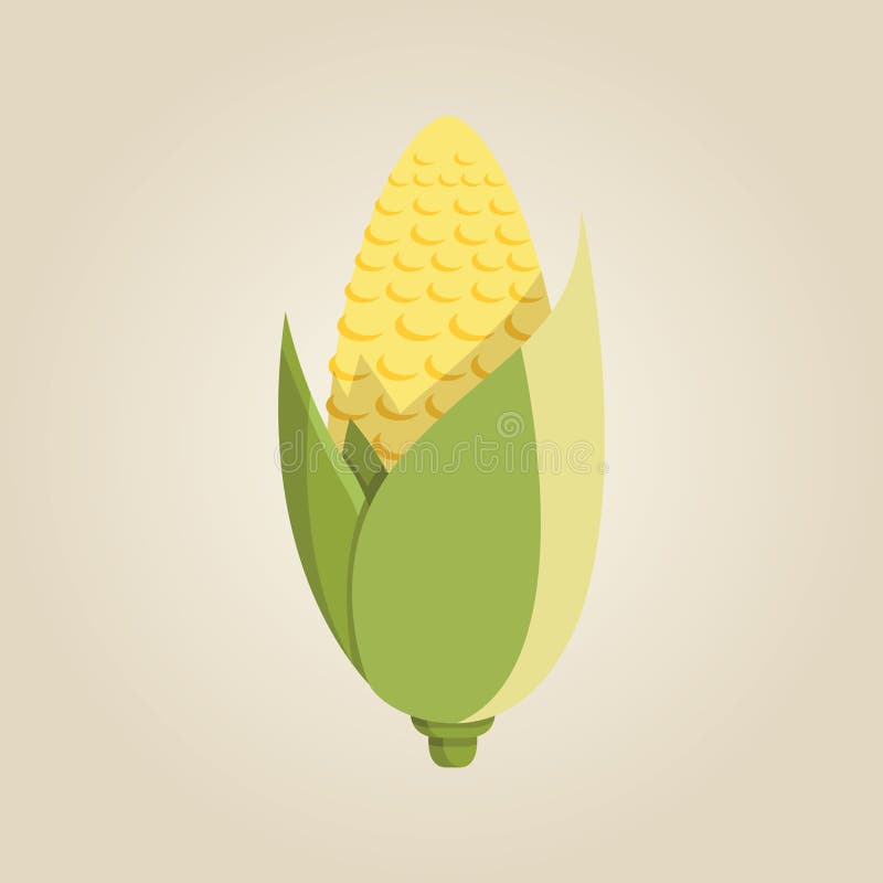 Corn. Vector Illustration Decorative Design Stock Vector - Illustration ...