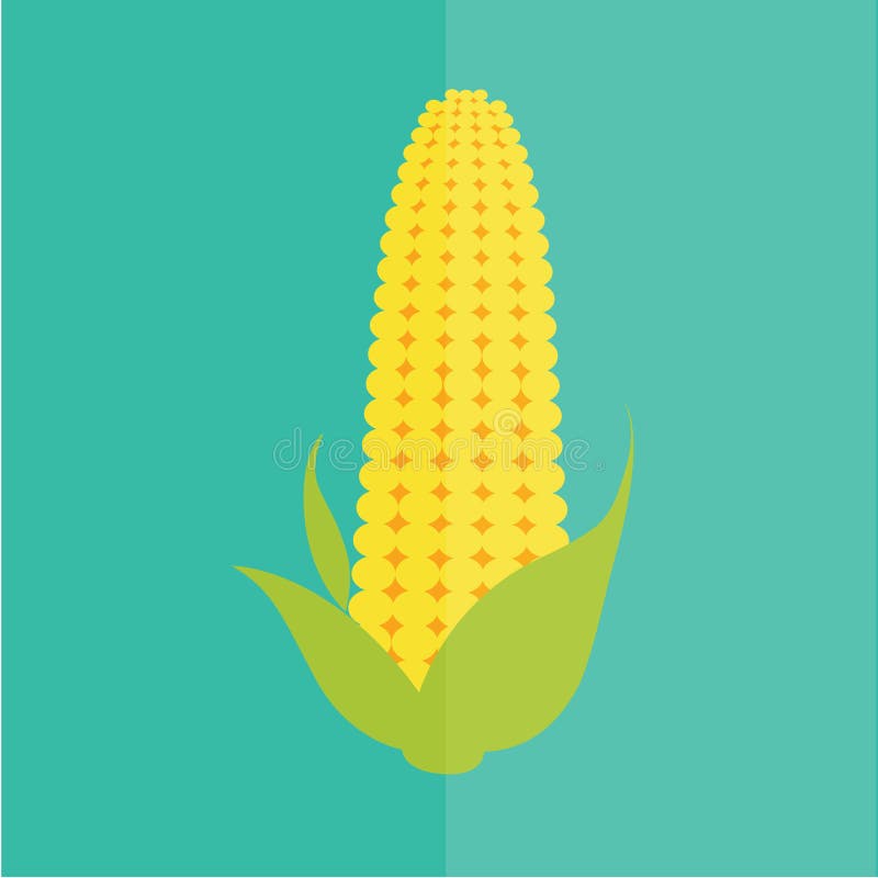 Corn. Vector Illustration Decorative Design Stock Vector - Illustration ...