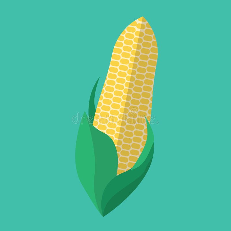 Corn. Vector Illustration Decorative Design Stock Vector - Illustration ...