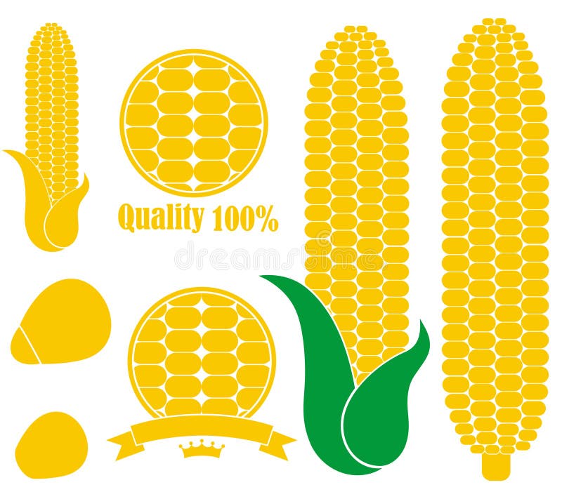 Corn Vector Stock Illustrations – 109,790 Corn Vector Stock ...