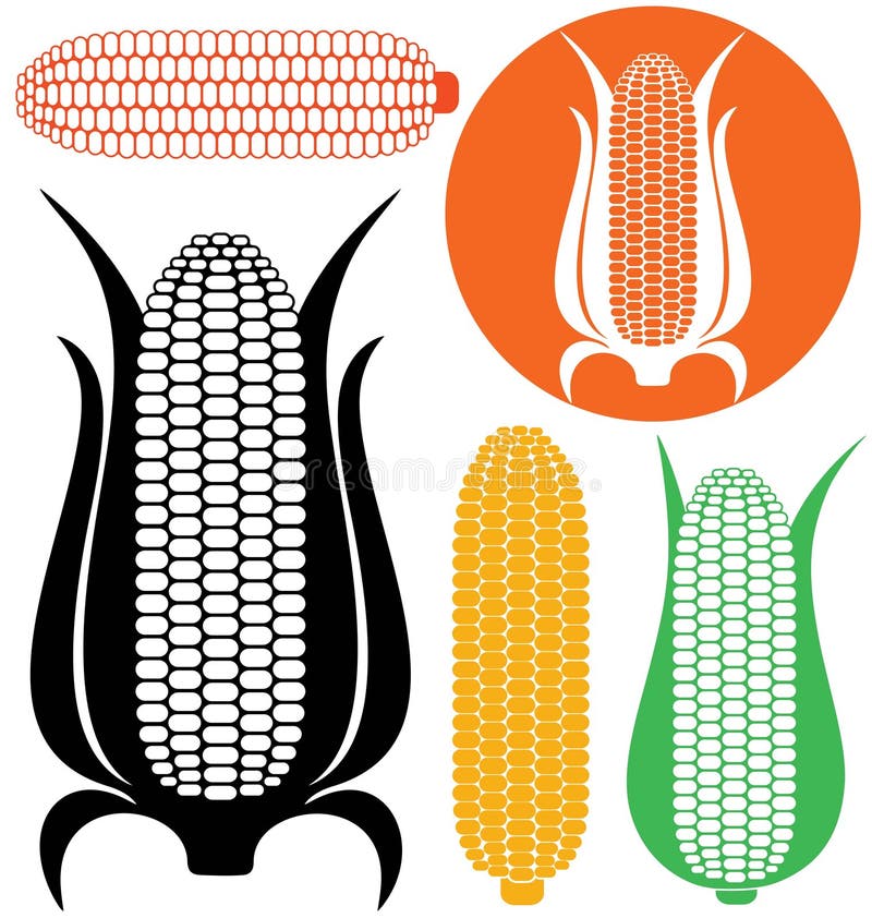 Corn Vector Stock Illustrations – 109,790 Corn Vector Stock ...