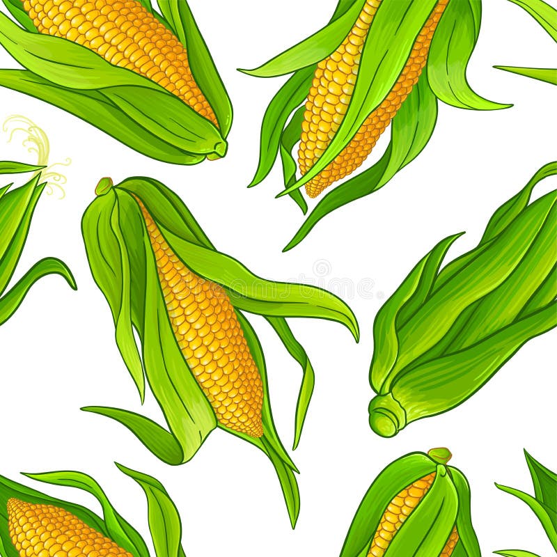 Corn vector pattern stock vector. Illustration of kernel - 196430597