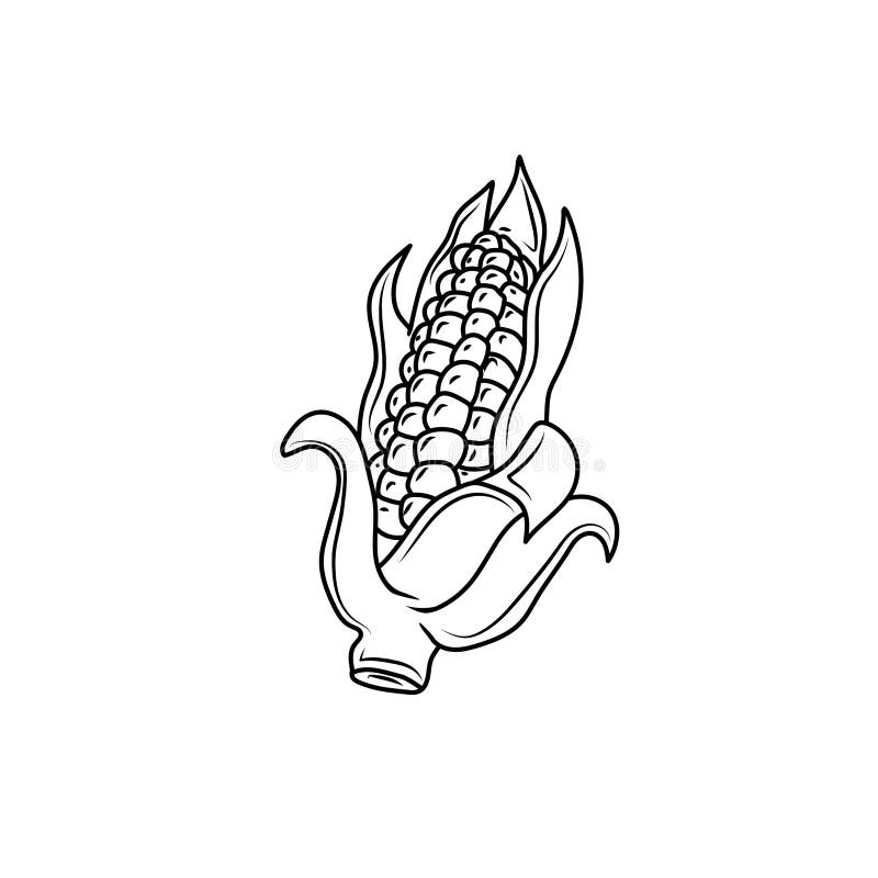 Corn Outline Stock Illustrations – 20,068 Corn Outline Stock ...