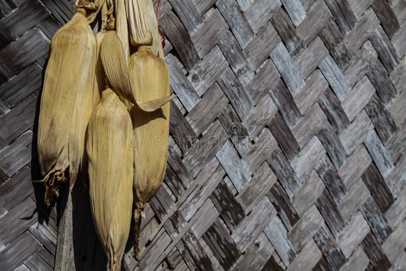 Corn on the wall bamboo stock image. Image of farm, cornflake - 267063641