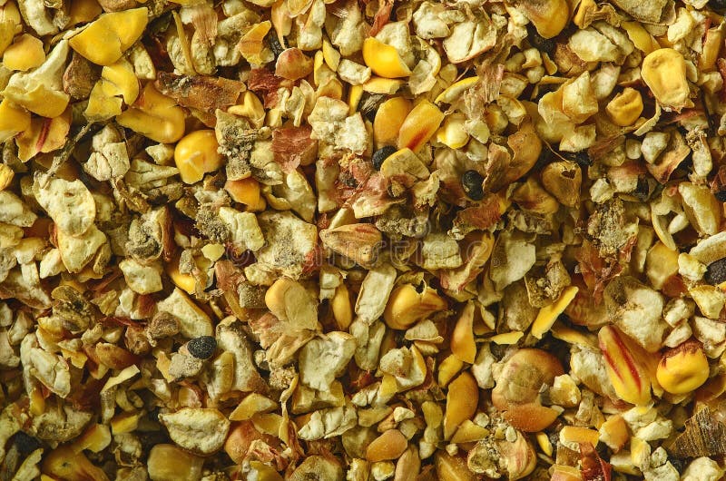 Corn Waste and Chaff. Indian Corn. Closeup. Background. Macro Image Can ...