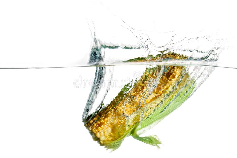 Corn in water stock image. Image of drop, fruit, organic - 25832255