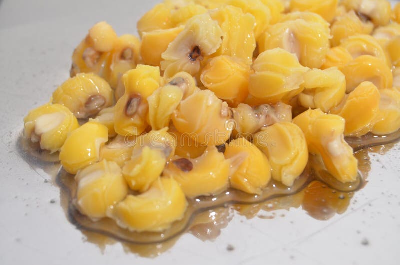 Corn in a water stock photo. Image of autumn, october - 38814762