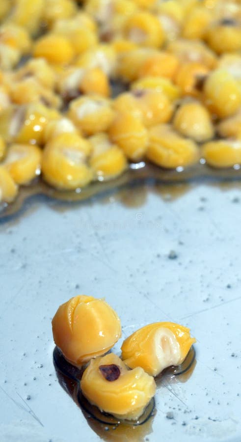 Corn in a water stock image. Image of water, sugar, october - 38814813